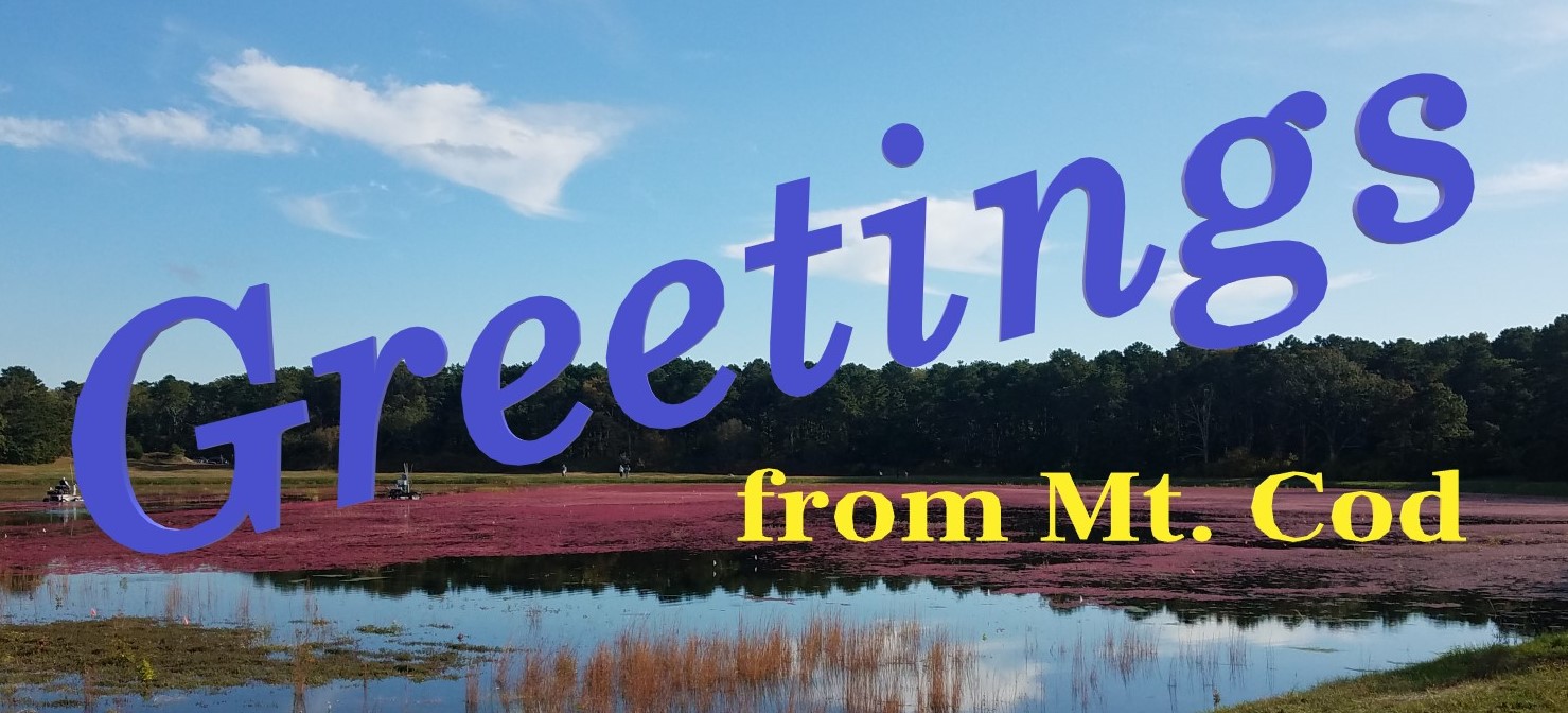 From the Mt. Cod Archives – Chandler's World